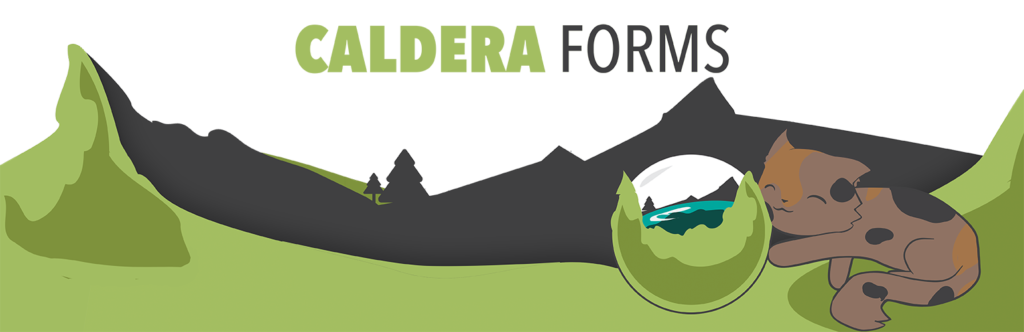 Integrating Caldera Forms with SendSquared: A Technical Overview ...